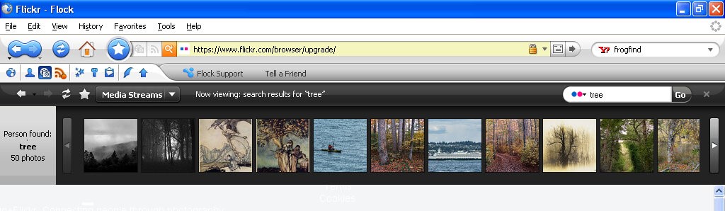 Flock (Web Browser) | Drew1440: Blog